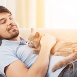 Veterinary Home Visit | Mobile Vet Service| Vet House Call