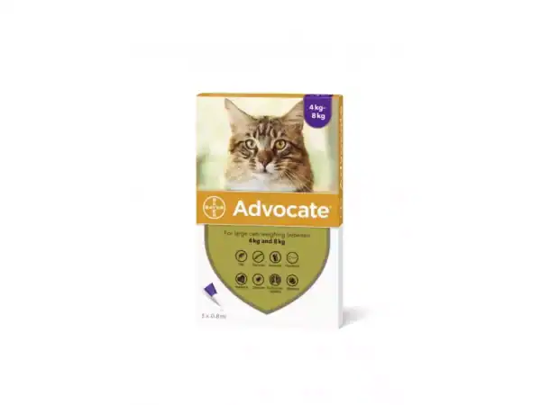 Advocate 80 Spot-On for Large Cats 4-8kg 3 Pack or 6 Pack | Vets 2 Your ...